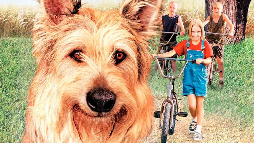 Лучшие семейные комедии – ТОП 45 фильмов для семейного просмотра